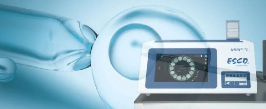 Boosting IVF success with undisturbed culture: has Time-Lapse become ...